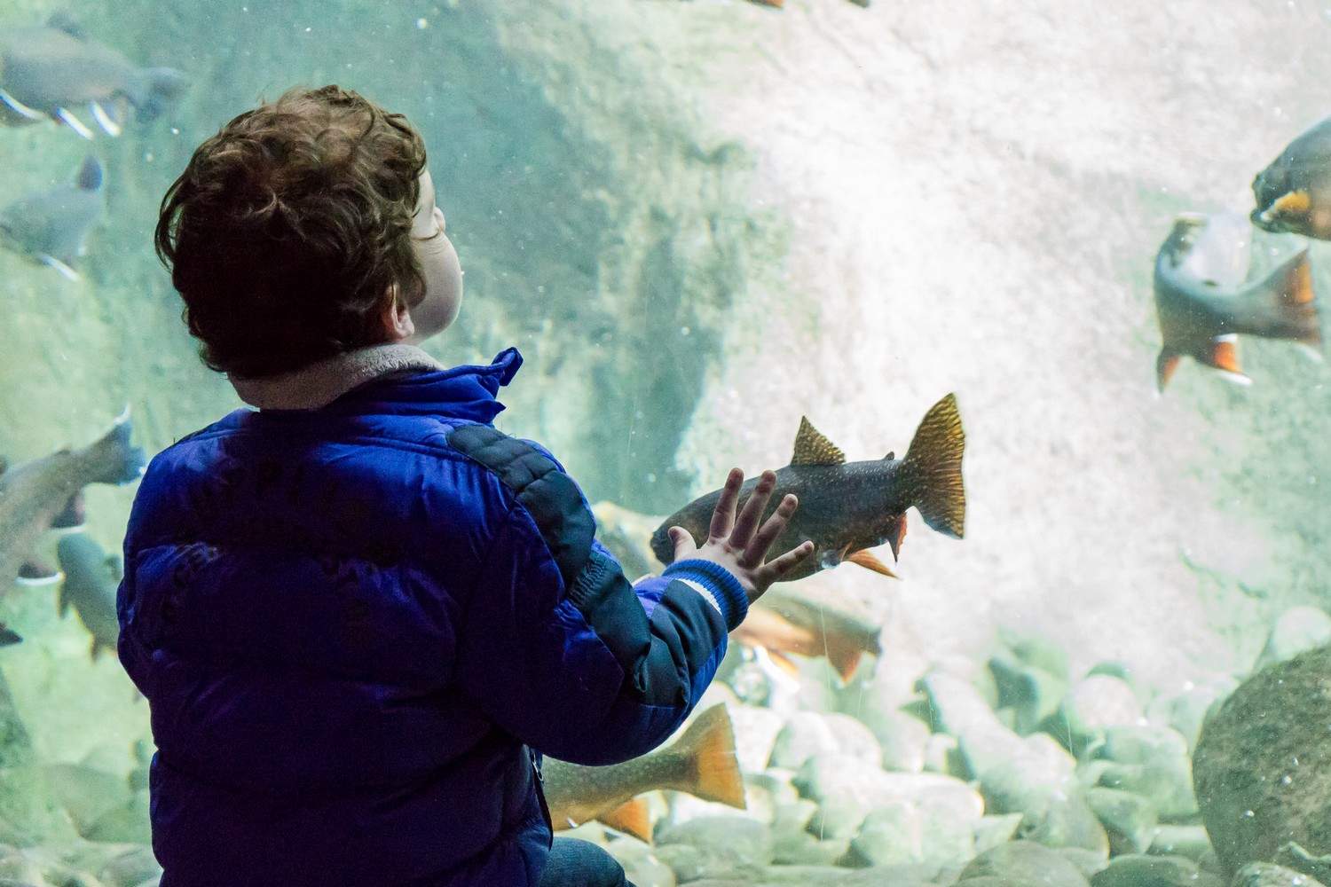 Sortie scolaire et pédagogique au Grand Aquarium de Touraine | Val de Loire