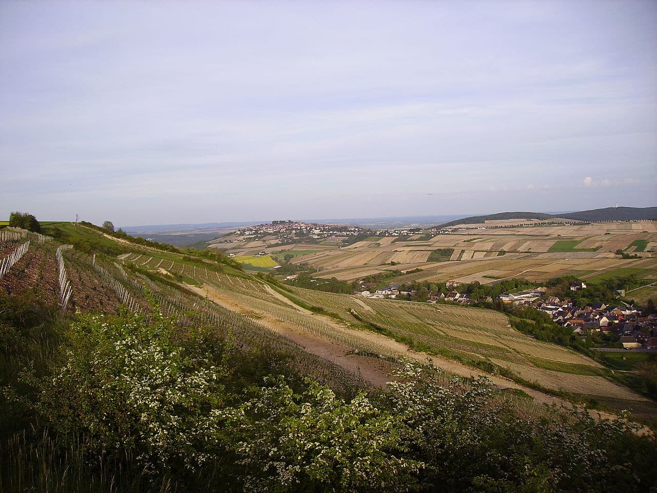 Chavignol, le grand cru des crottins | Val de Loire