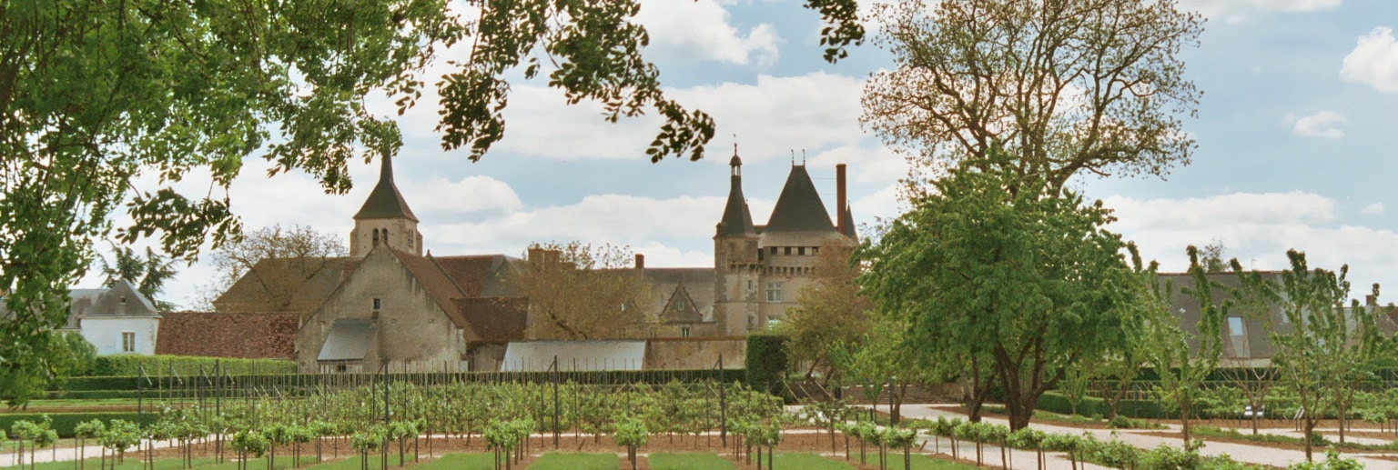 Château de Talcy | Val de Loire