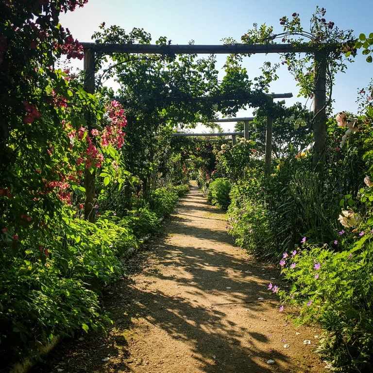 Visite de la Roseraie de Morailles à Pithiviers-le-Vieil