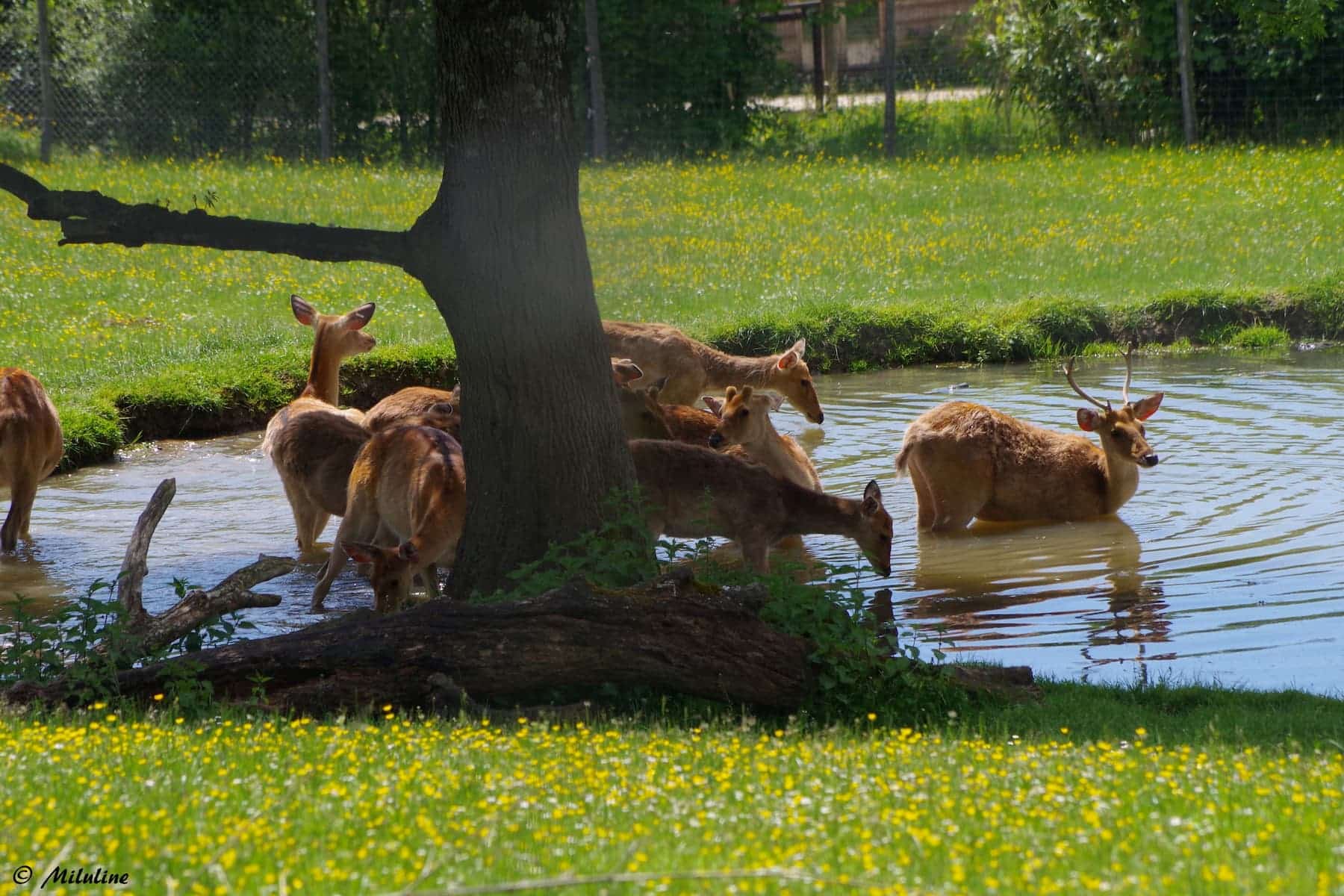Faites le plein des sorties en nature en Haute-Vienne