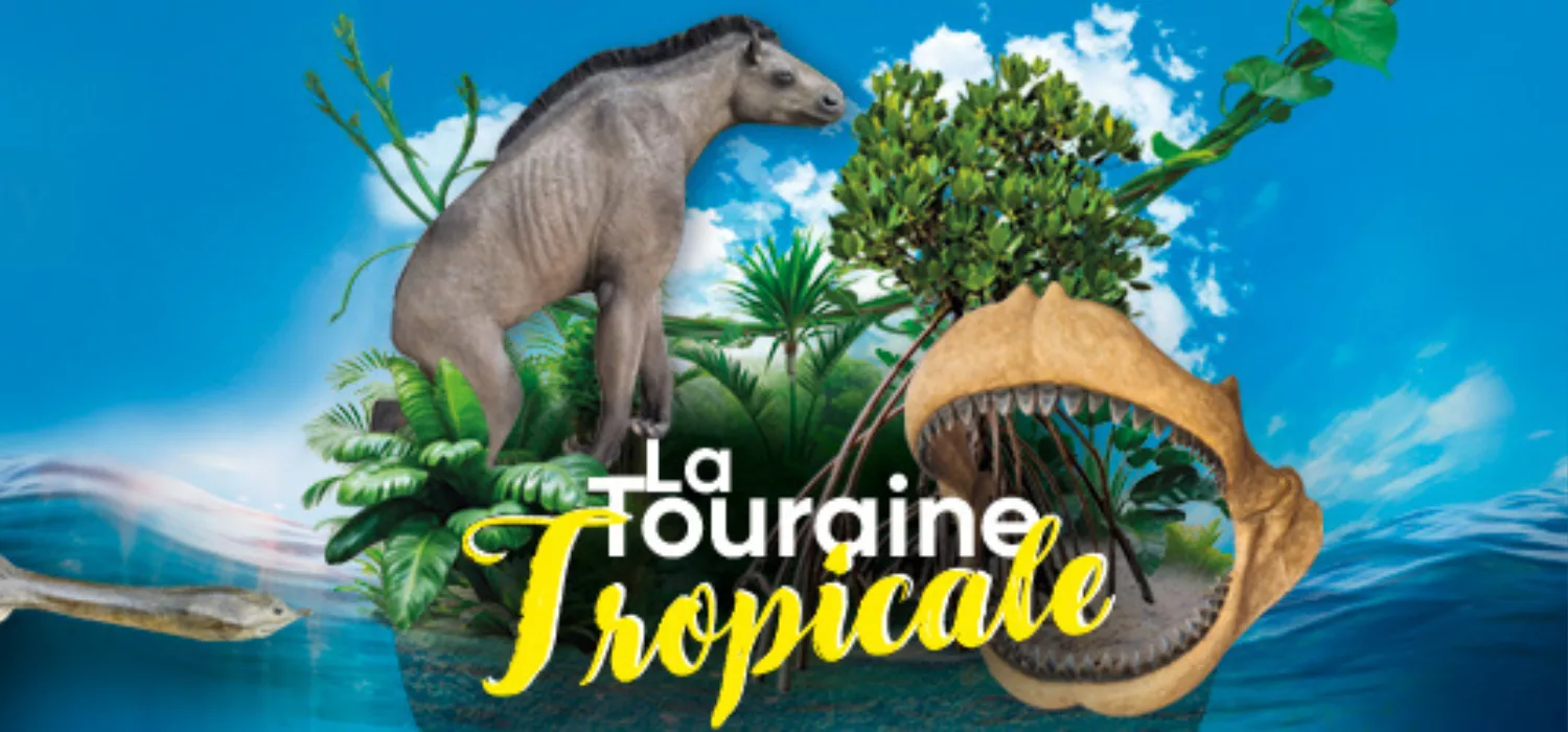 Exposition "La Touraine Tropicale"- Musée du Grand-Pressigny