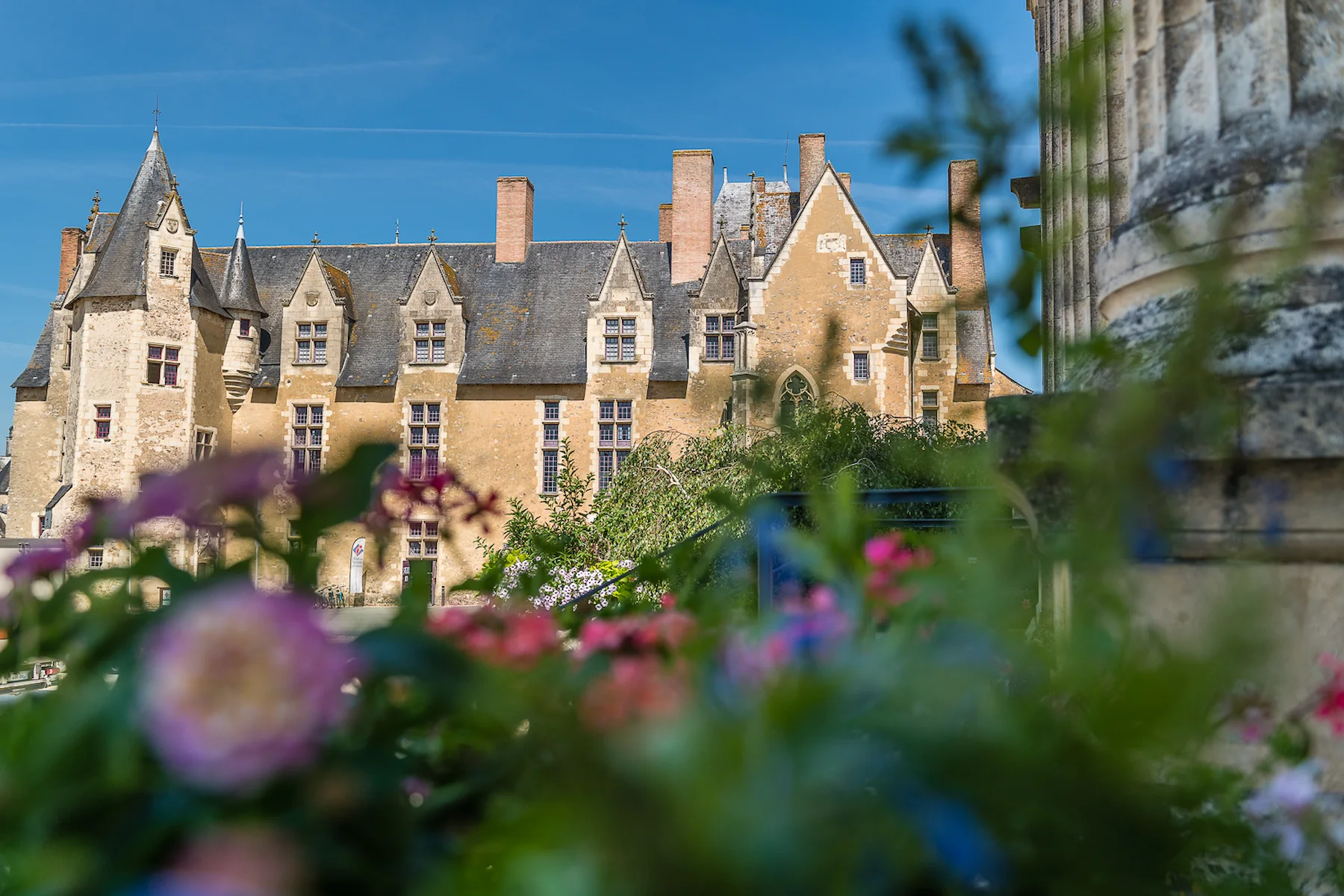 Château de Baugé & Hôtel-Dieu : visites et animations 2026